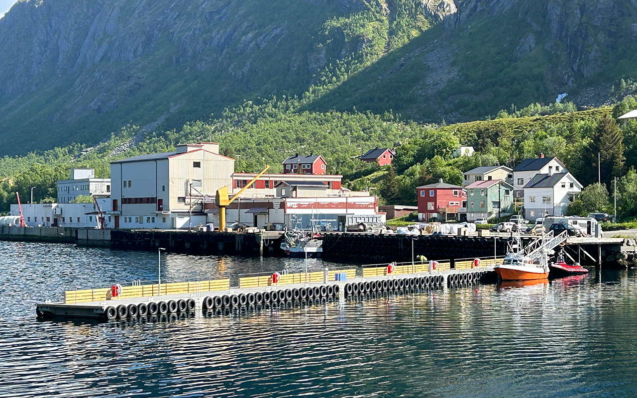 Senja kommune, Gryllefjord Havn - Vik Ørsta